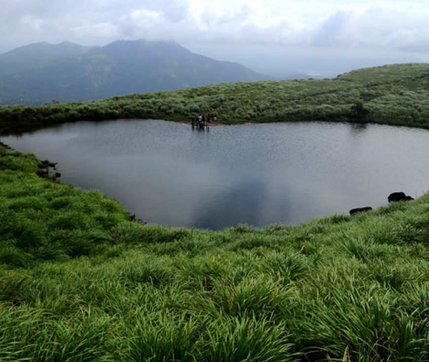 Ayra Holidays | Discover the Heart of Kerala with Ayra Holidays